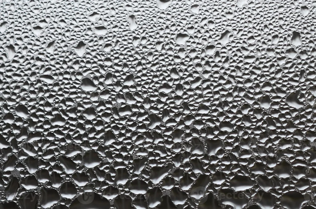 What Is Condensation in Apartments? Causes, Signs, and Why It Happens ...